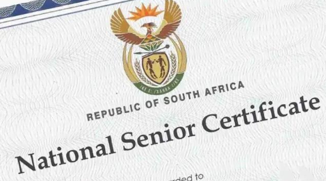 Matric Remark Status 2026: How to Check Your Results Online